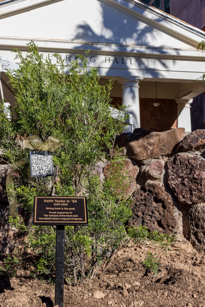 Keith Taylor Jr Celebration of Life – DAVIS DE DIOS MEDIA